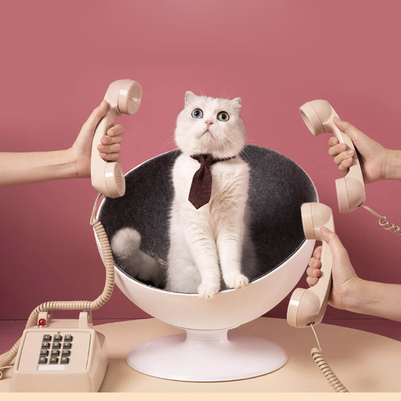 Whimsical Kitty Sphere - The Ultimate Interactive Cat Retreat ...